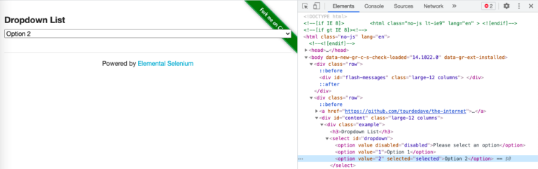 Handling Dropdowns, Checkboxes and Radio Buttons in Robot Framework