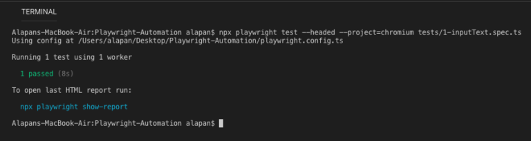 Text Input with basic assertions in Playwright - TestersDock